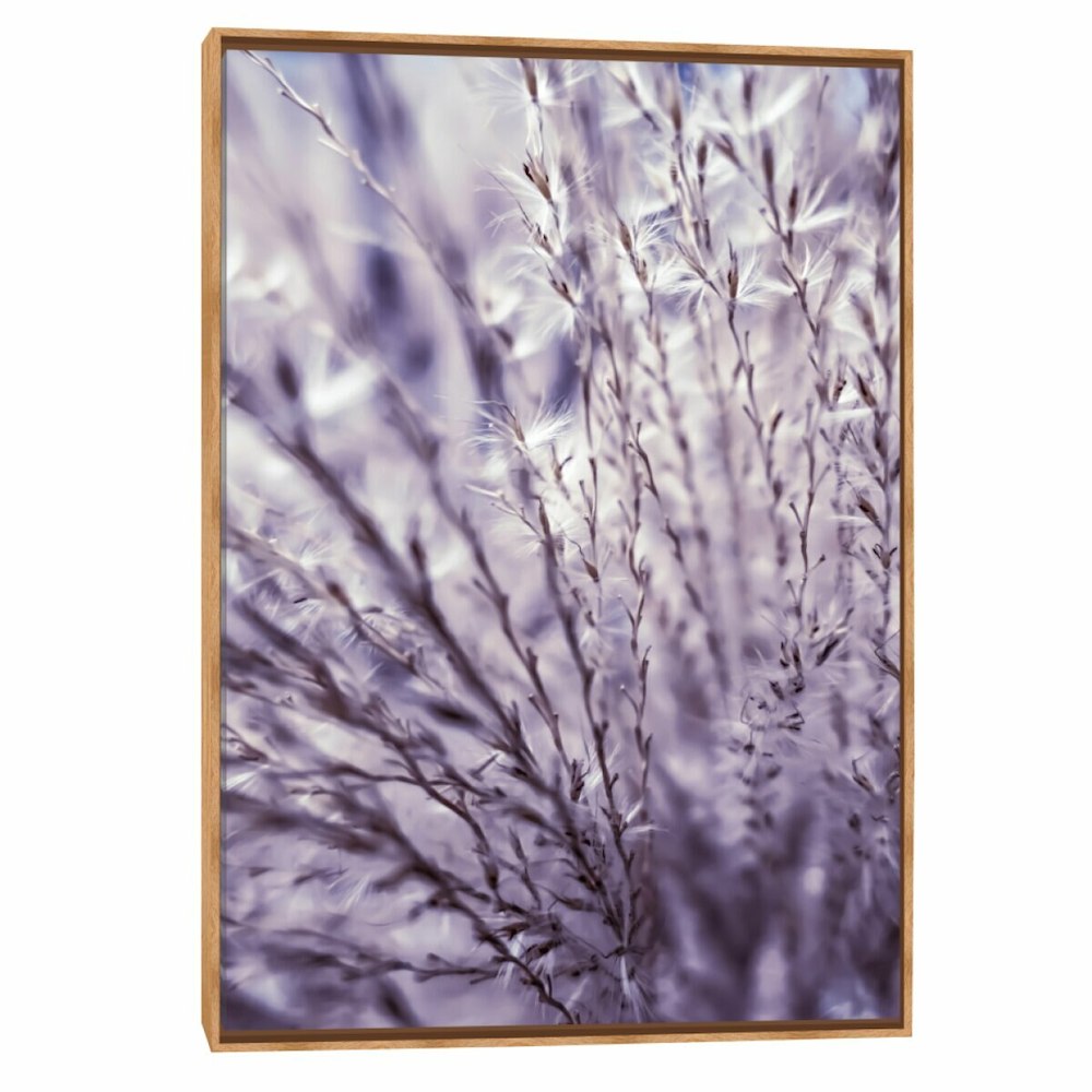 Compre Quadro Decorativo Violeta II - Decora Online